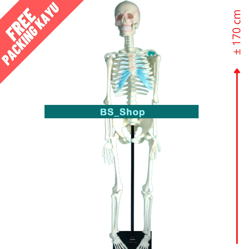 Siplah Eureka Bookhouse | Belanja keperluan sekolah praktis dan mudah